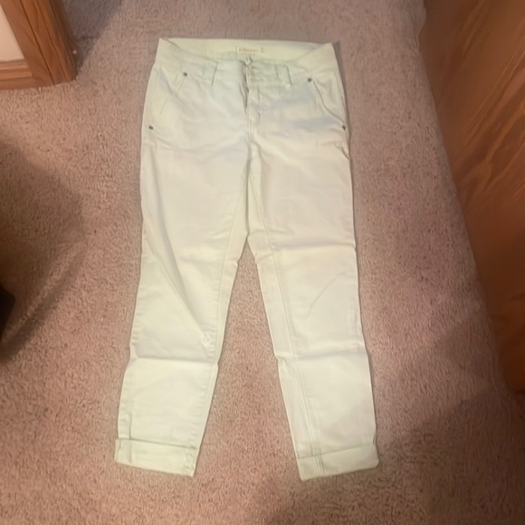 BCBG | Pants & Jumpsuits | Bcbg Light Green Pants | Poshmark